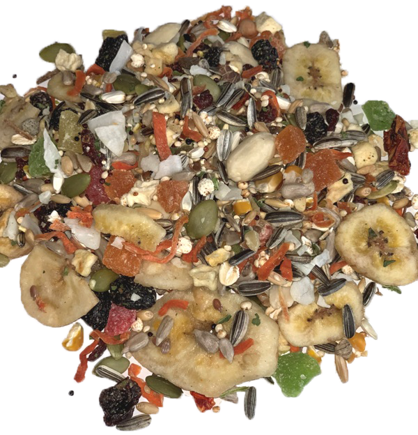 Bird Food — World 4 Pets