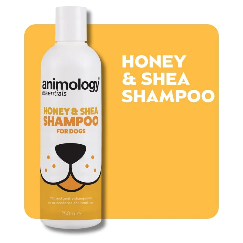 Animology Essentials Honey & Shea Shampoo 250ml — World 4 Pets