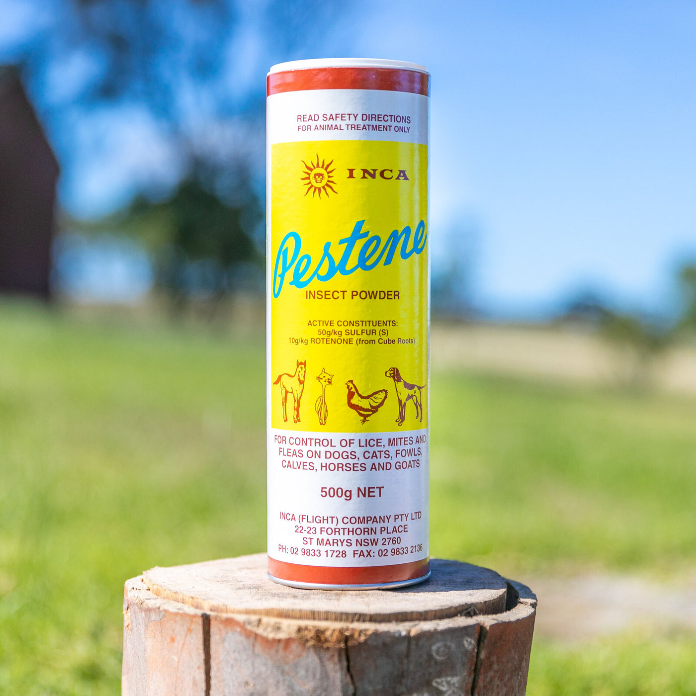 Pestene Insect Powder 500g — World 4 Pets