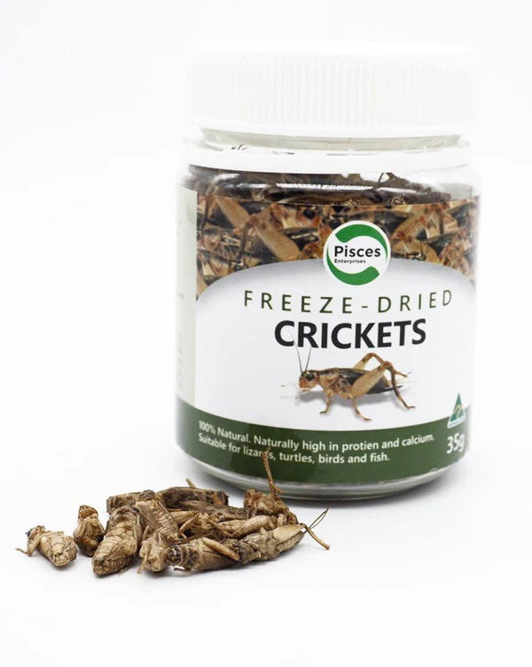 Freeze Dried Crickets — World 4 Pets
