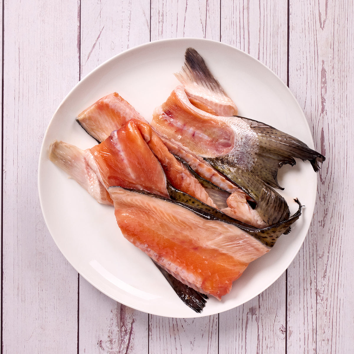 Salmon Frames - 2 Pack — World 4 Pets