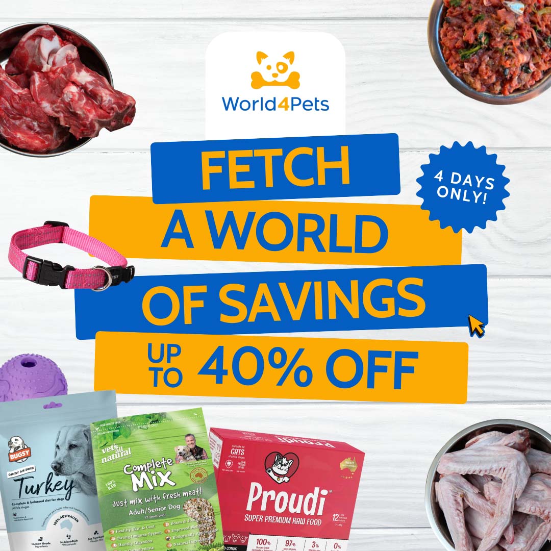 World 4 Pets