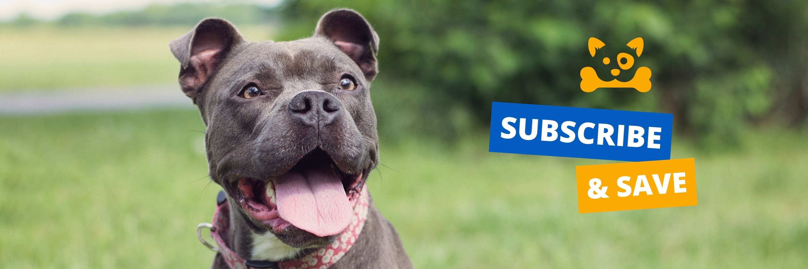 Subscribe & Save with World 4 Pets