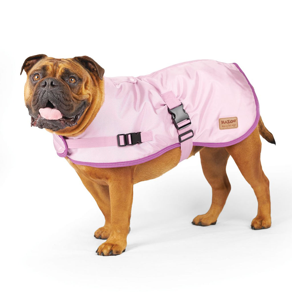 Dog Apparel — World 4 Pets