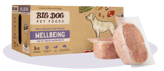 Big Dog Wellbeing — World 4 Pets