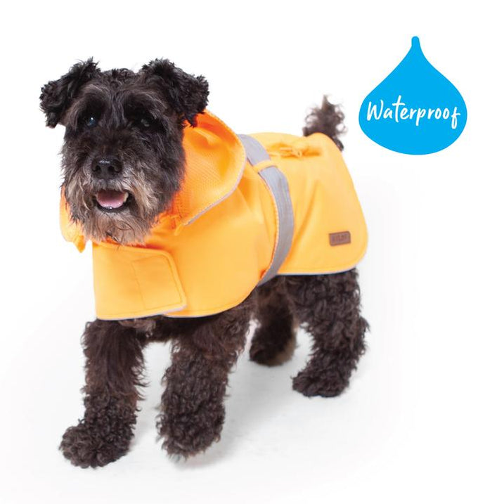 SALE! — World 4 Pets