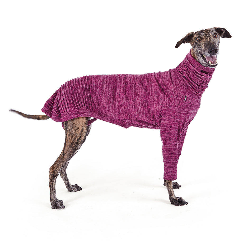 SALE! — World 4 Pets