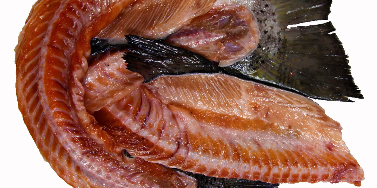 Salmon Frames - 2 Pack — World 4 Pets