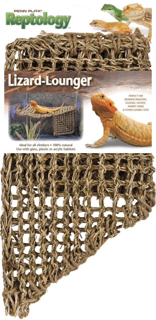 Lizard Lounger — World 4 Pets